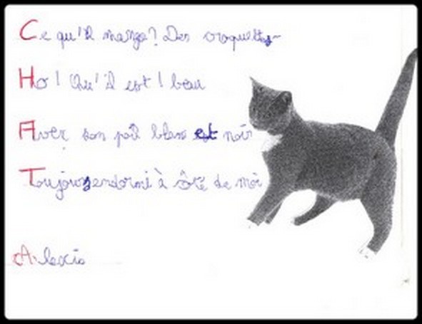 Nos acrostiches - Projectibles